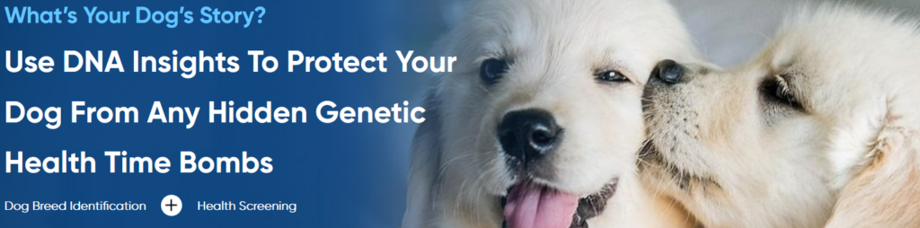 10 Reasons Why You Should Test Your Dog’s DNA – All About Dogs